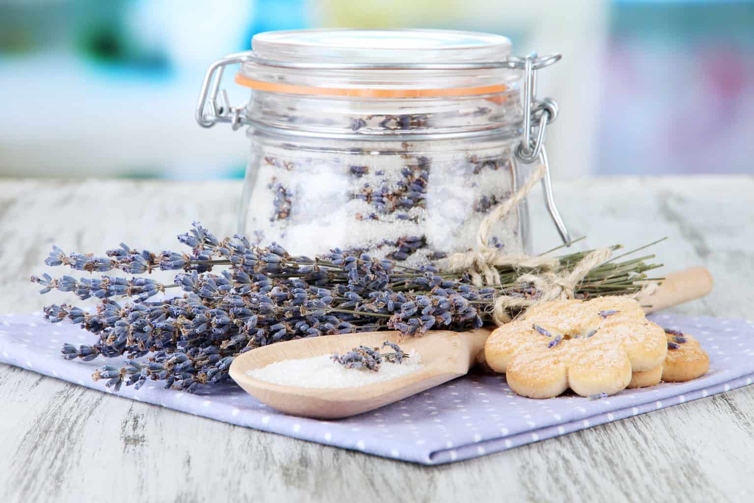 How to Make Lavender Sugar - Herb Gardening Ideas