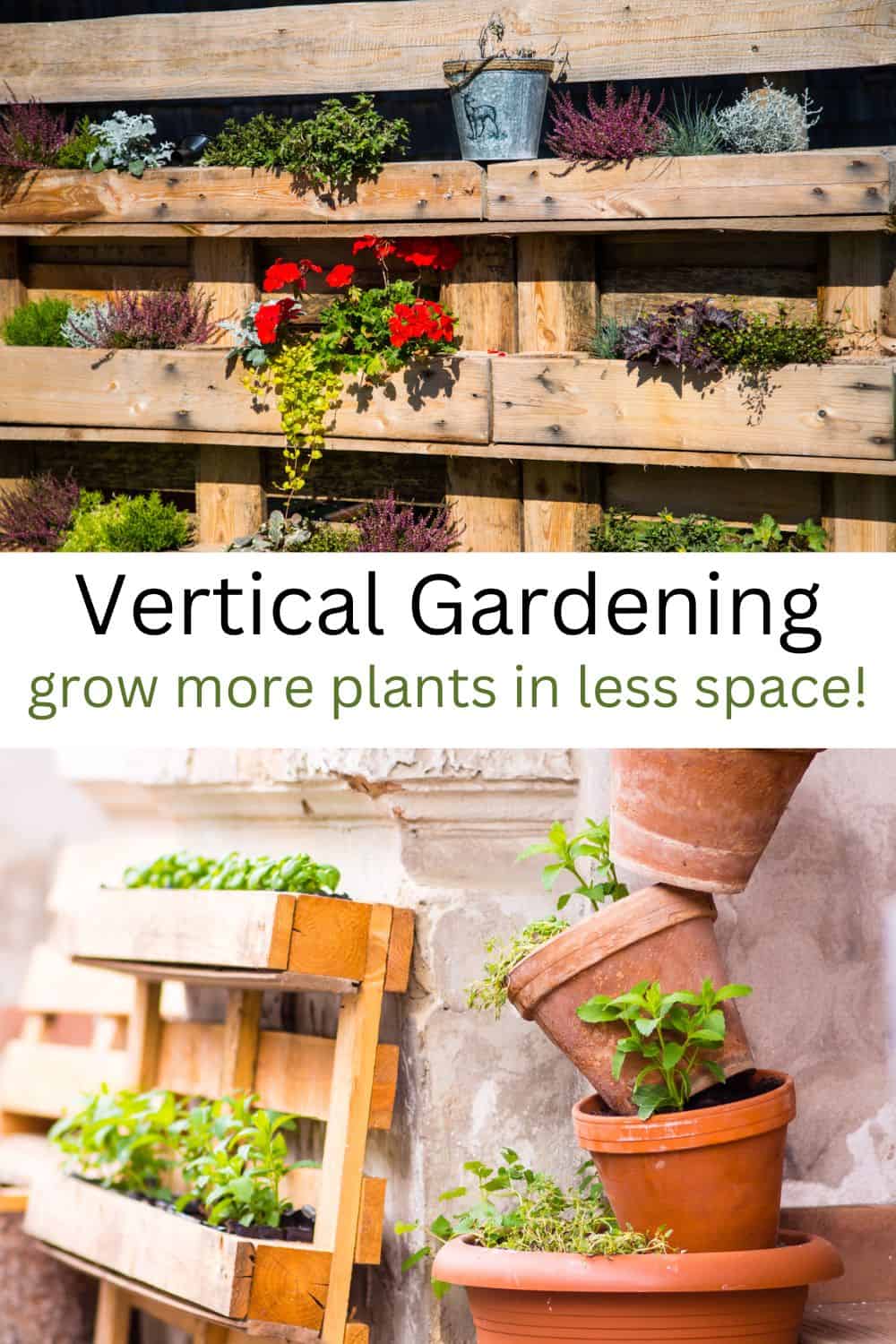 Easy Vertical Gardening Ideas - Herb Gardening Ideas