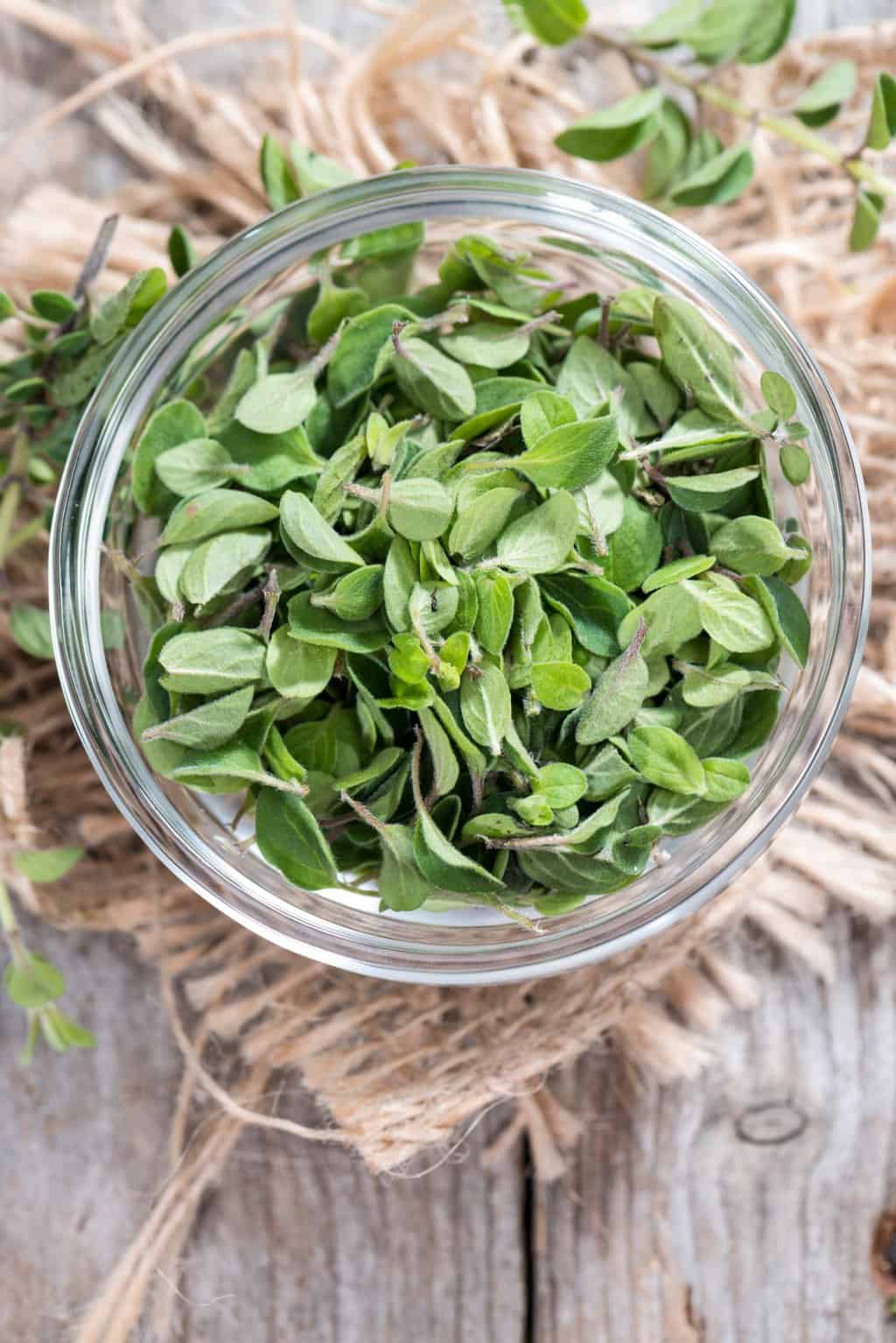 Frost Resistant Herbs That Survive Cold Weather