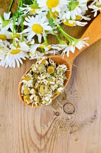 Chamomile Hair Rinse - Herb Gardening Ideas