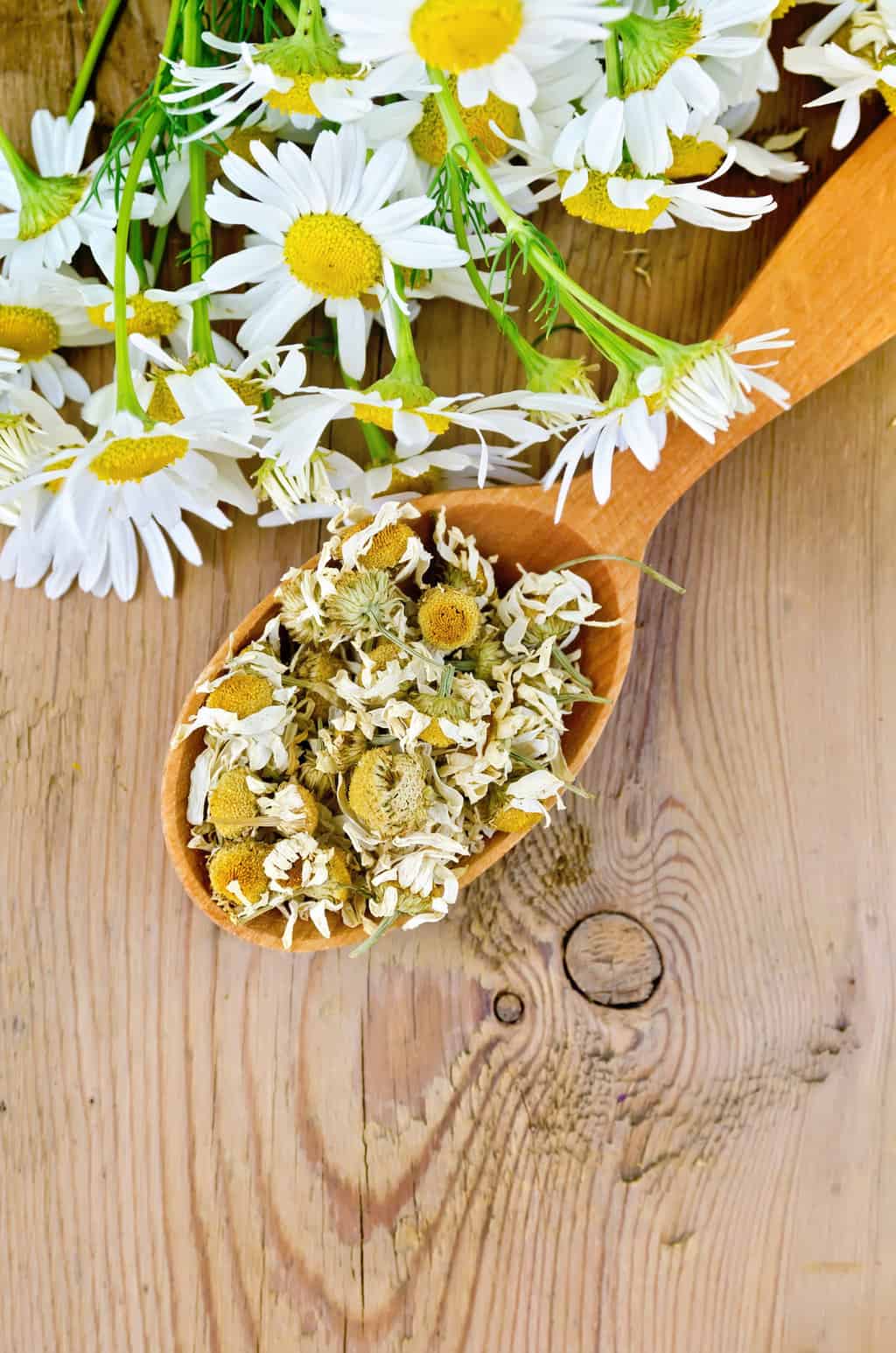 Chamomile Hair Rinse - Herb Gardening Ideas